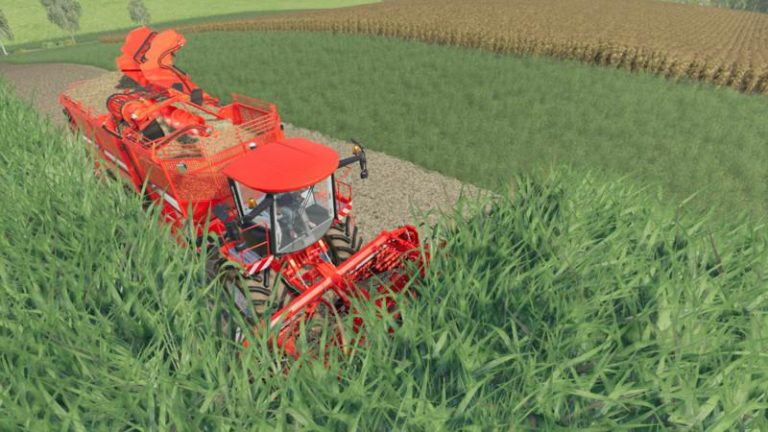 Holmer Terra Dos T4 + Holmer HR12 for Sugarcane v 1.0 - FS19 mod - FS19.net