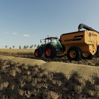 Coolamon Chaser Bins 18T v 3.0 - FS19 mod - FS19.net