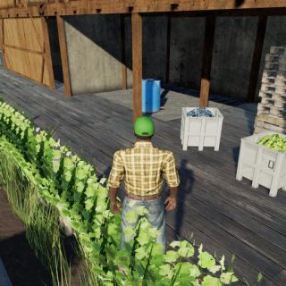GRAPE PRODUCTION FINAL EXTENDED - FS19 mod - FS19.net