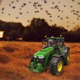Trees light girl field barley birds female MENU BACKGROUND v1.0 - FS19 ...