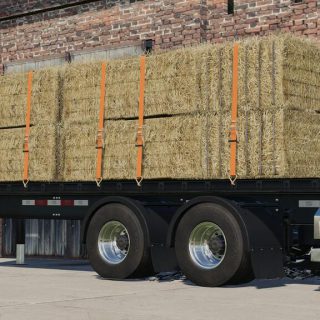 NMC GOOSENECK F-20B V1.0 - FS19 mod - FS19.net