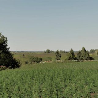 Cow Farm - FS19 mod - FS19.net